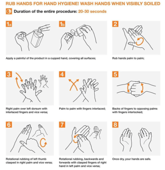 SANITATION, CARE AND HYGIENE PROTOCOL IN BUSES AND TRANSPORT VEHICLES ...