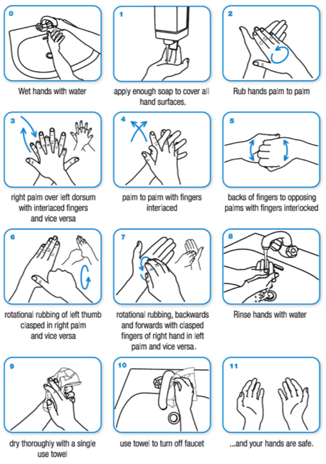 SANITATION, CARE AND HYGIENE PROTOCOL IN BUSES AND TRANSPORT VEHICLES ...
